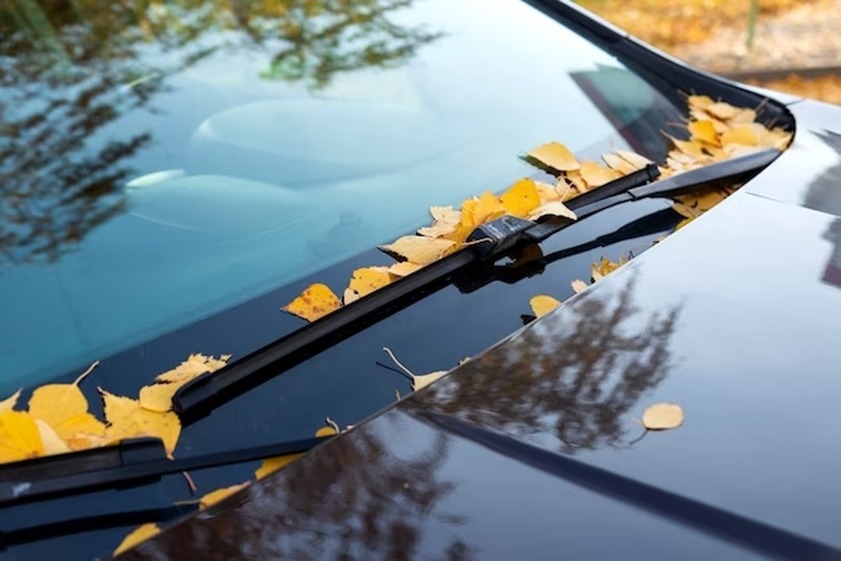 Para-brisa do carro sempre limpo é sinal de preocupação; entenda