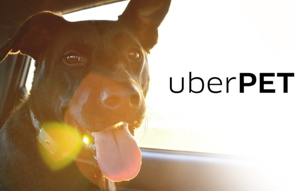 Uber lança uberPET para usuários com animais de estimação