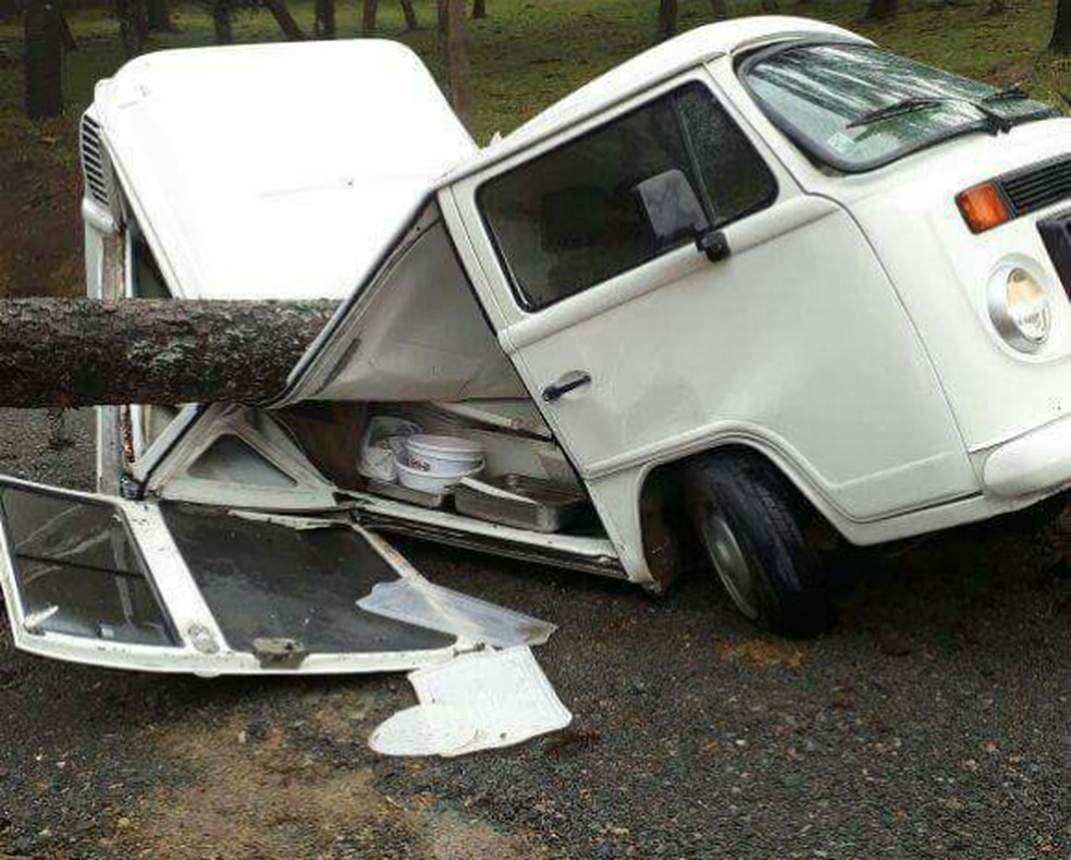 Entenda como uma Kombi consegue rodar mesmo destruída por árvore