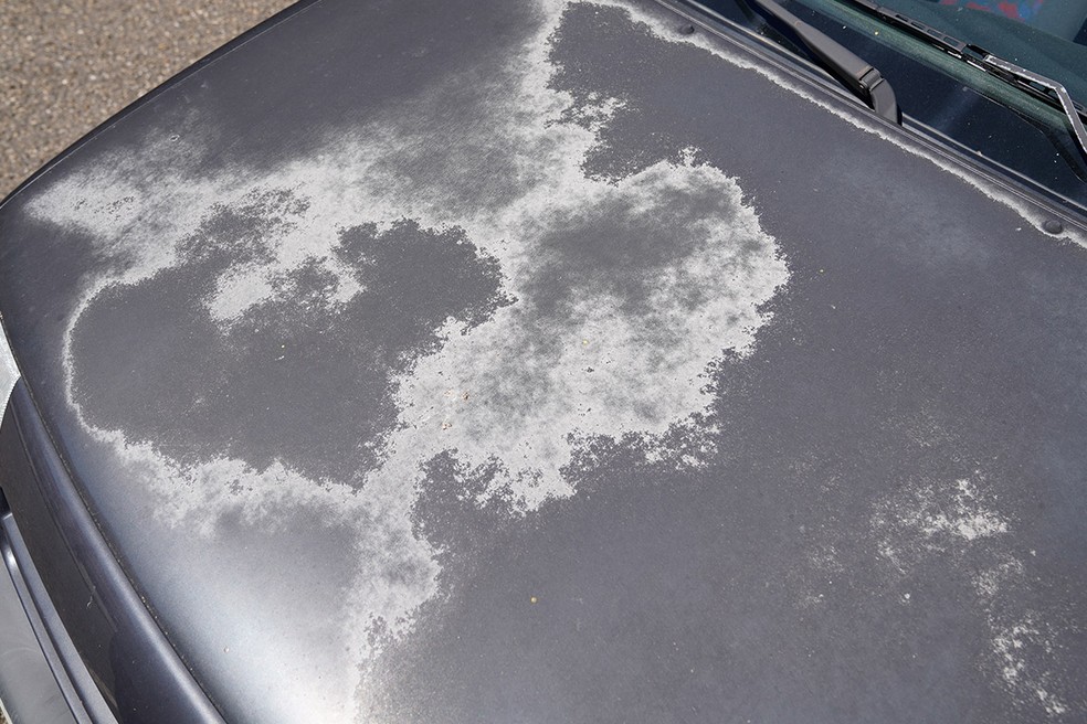 Como proteger a pintura do carro na nova onda de calor